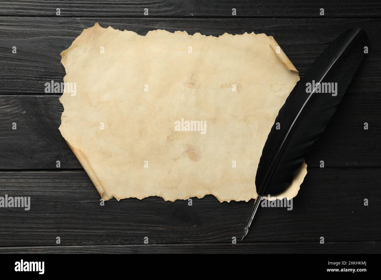 Medieval parchment paper feather hi-res stock photography and images ...