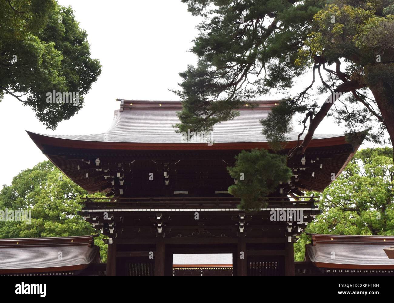 Meiji jingu shrine tourists hi-res stock photography and images - Alamy