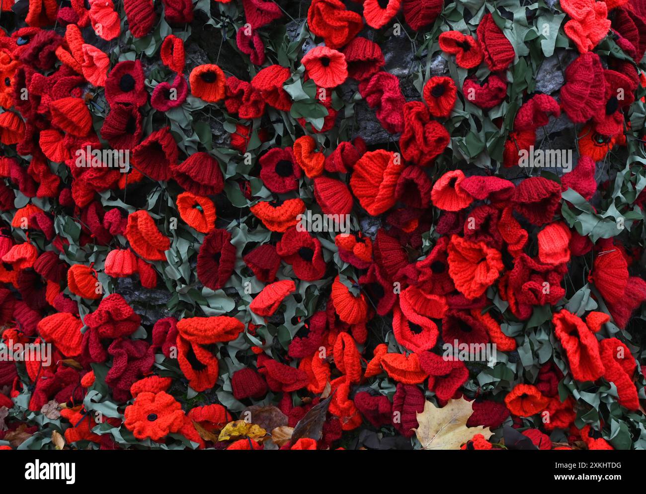 Rememberance day england hi-res stock photography and images - Alamy