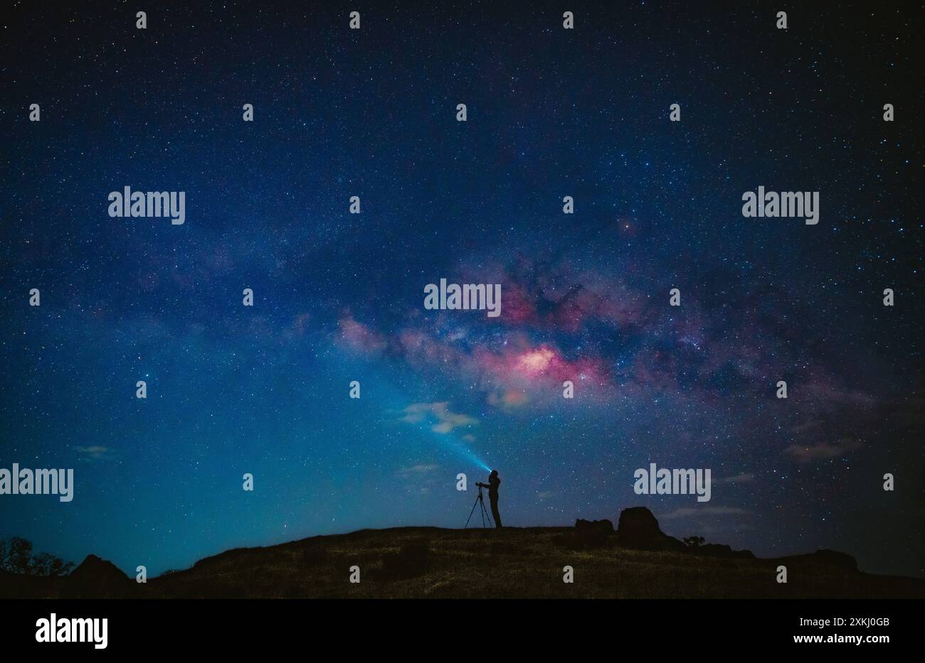 Guatemala, Finca EL AMATE Stock Photo - Alamy