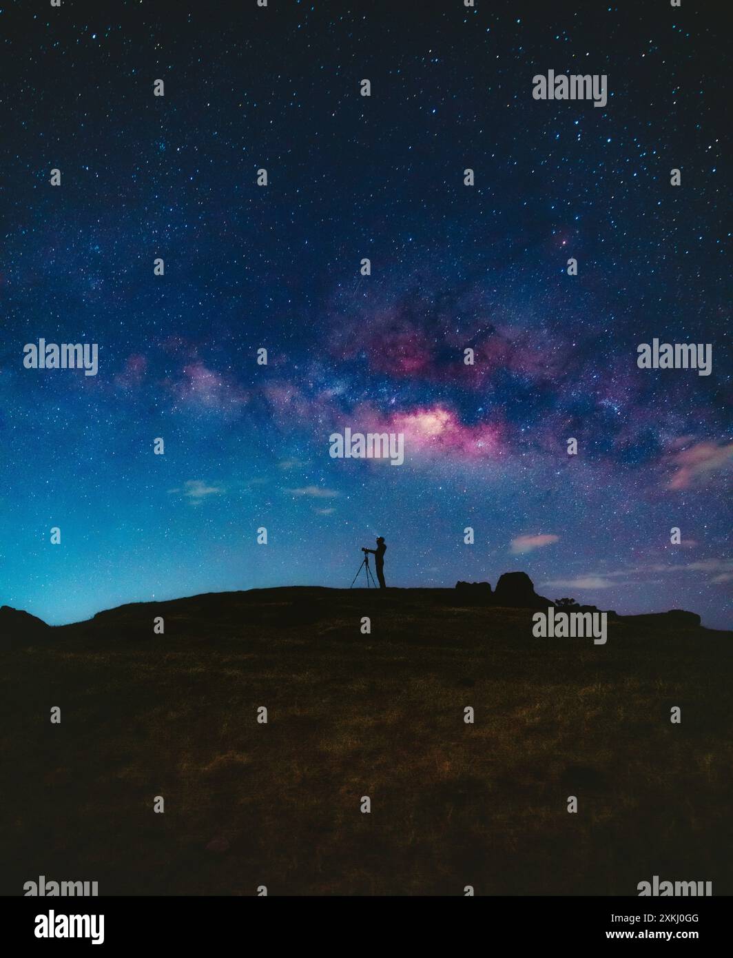 Guatemala, Finca EL AMATE Stock Photo - Alamy