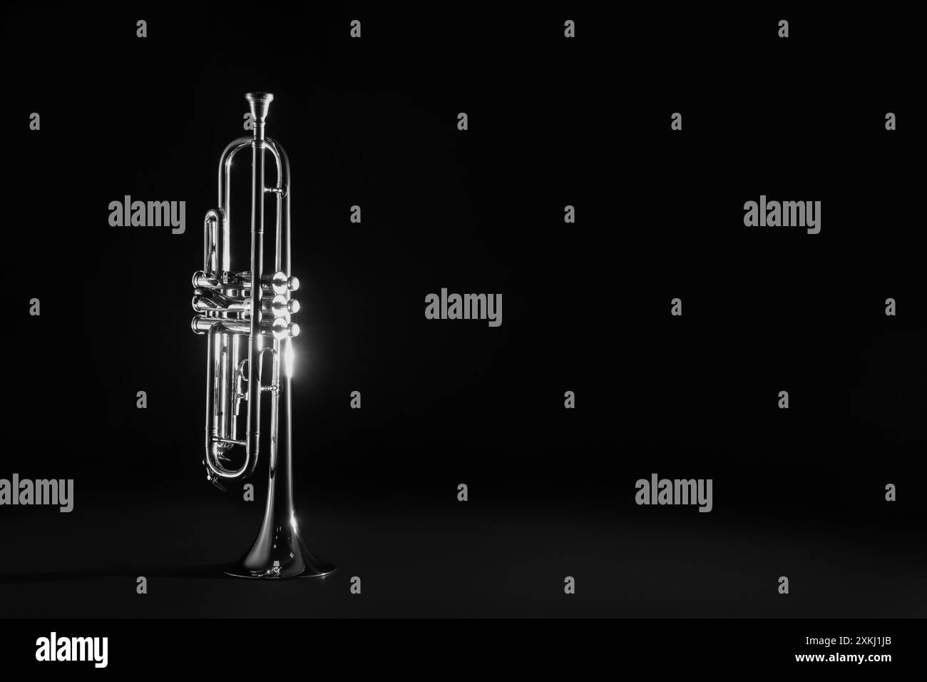 Shiny trumpet on black background, space for text. Wind musical ...