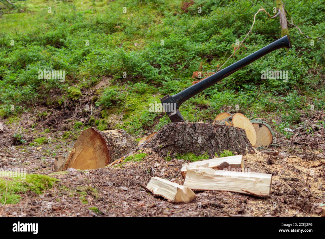 Chopping timber hi-res stock photography and images - Alamy