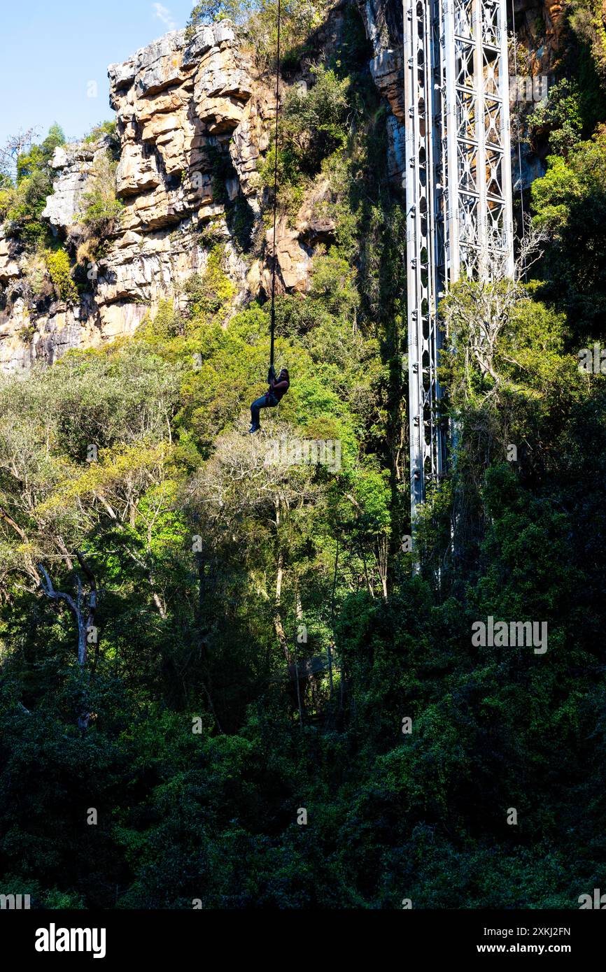 A woman swings in the Graskop Gorge. View of Graskop Gorge along South ...