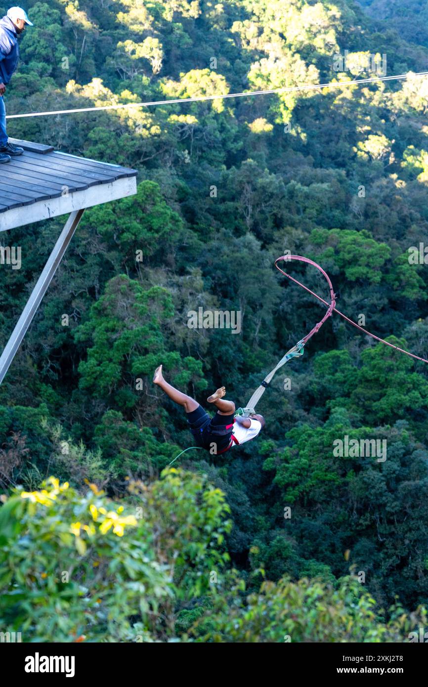 A woman falls into Graskop Gorge with a rope swing. Graskop Gorge along ...