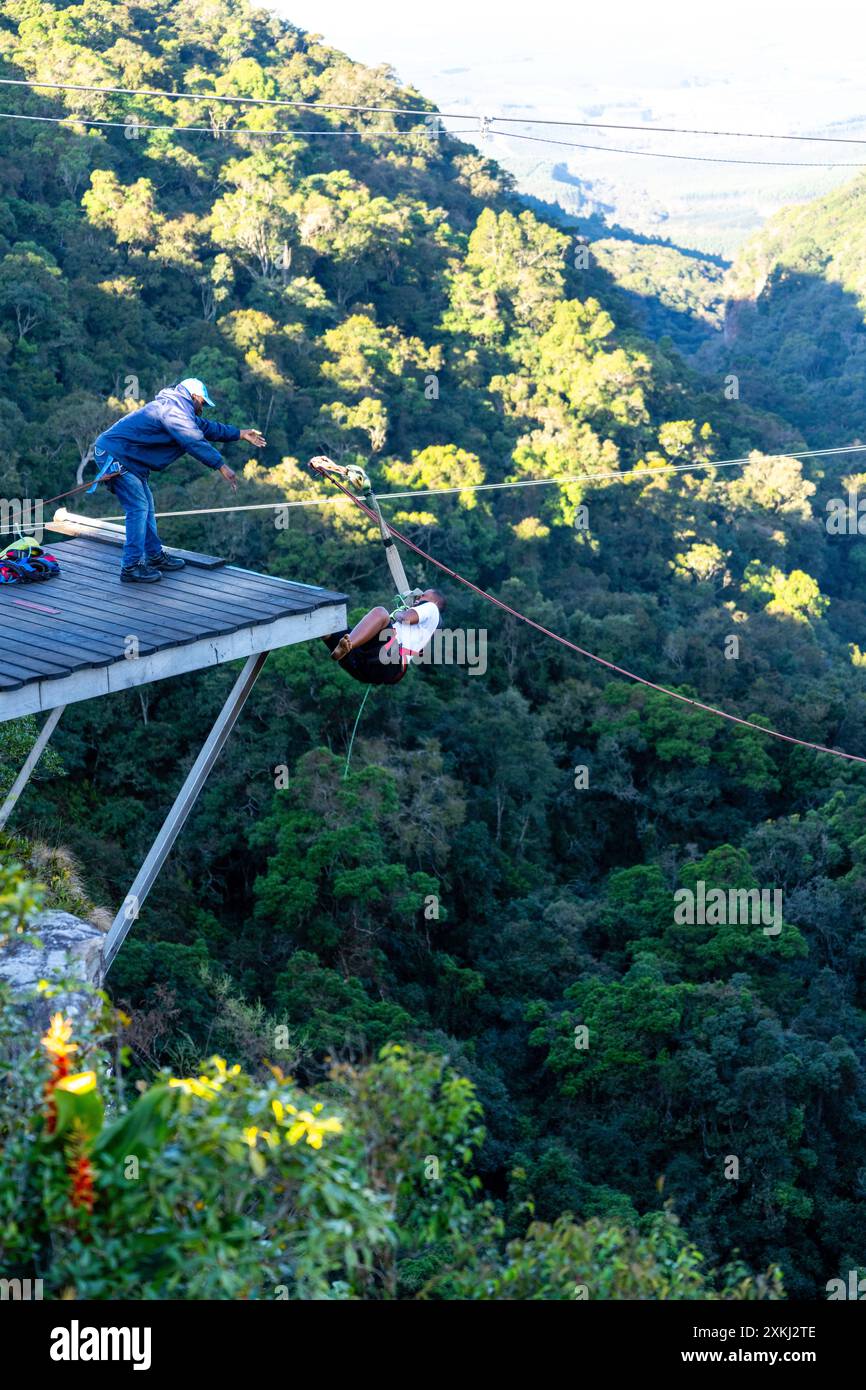 A woman falls into Graskop Gorge with a rope swing. Graskop Gorge along ...