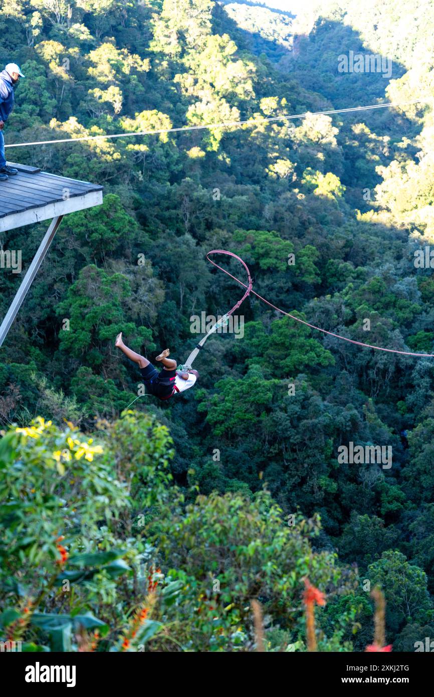 A woman falls into Graskop Gorge with a rope swing. Graskop Gorge along ...