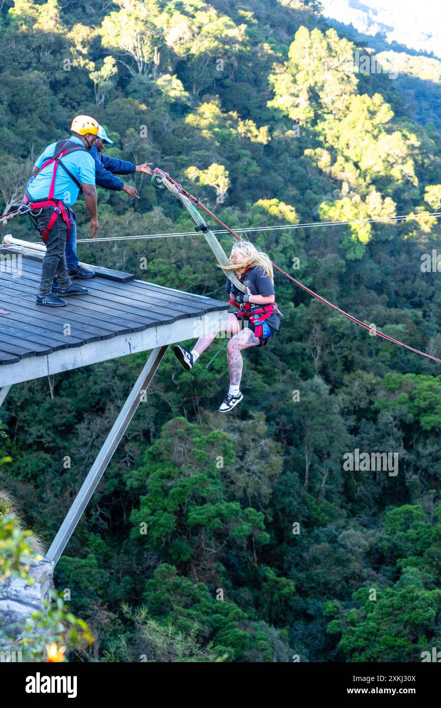 A woman falls into Graskop Gorge with a rope swing. Graskop Gorge along ...