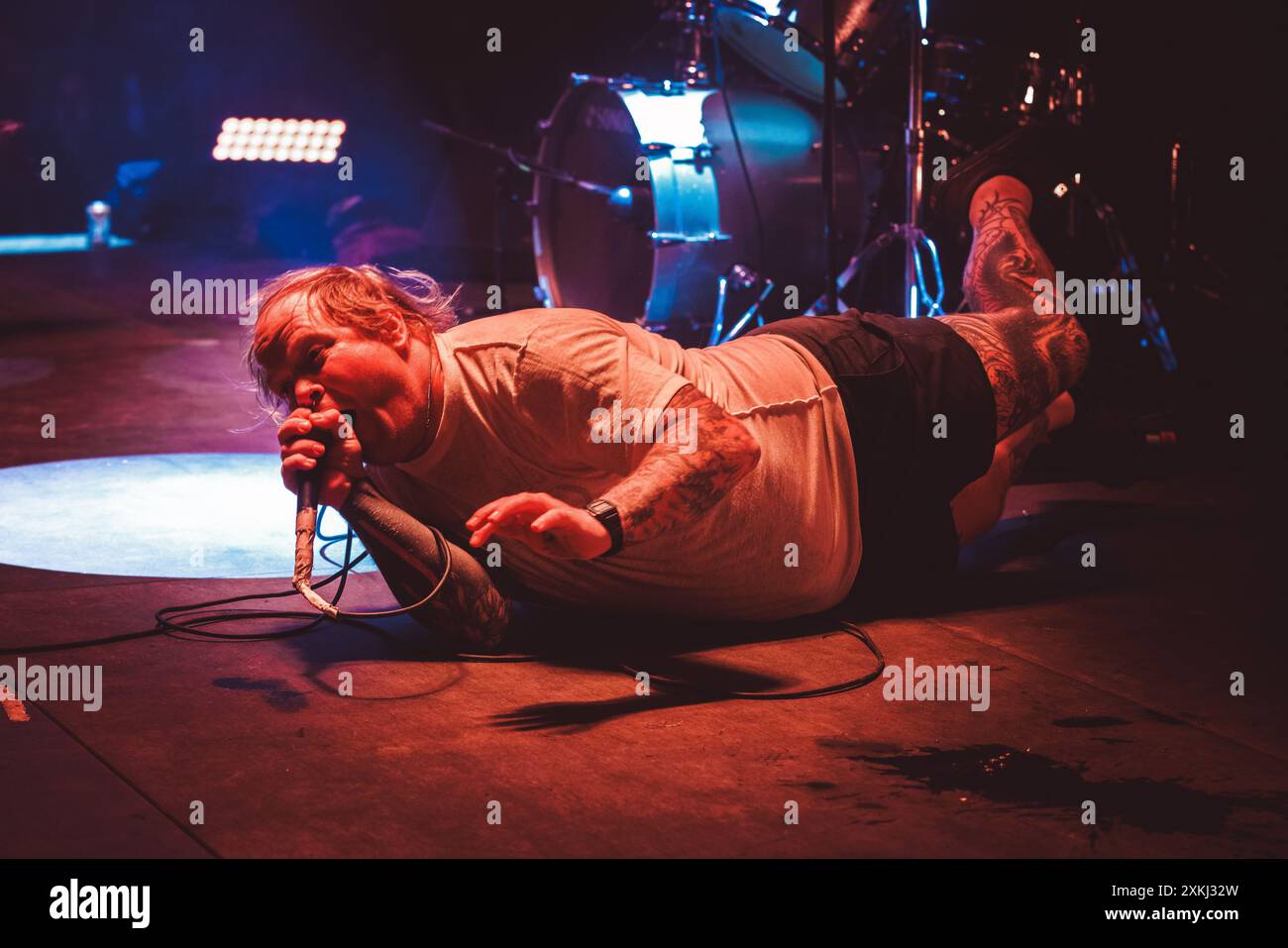 The hirs collective hi-res stock photography and images - Alamy