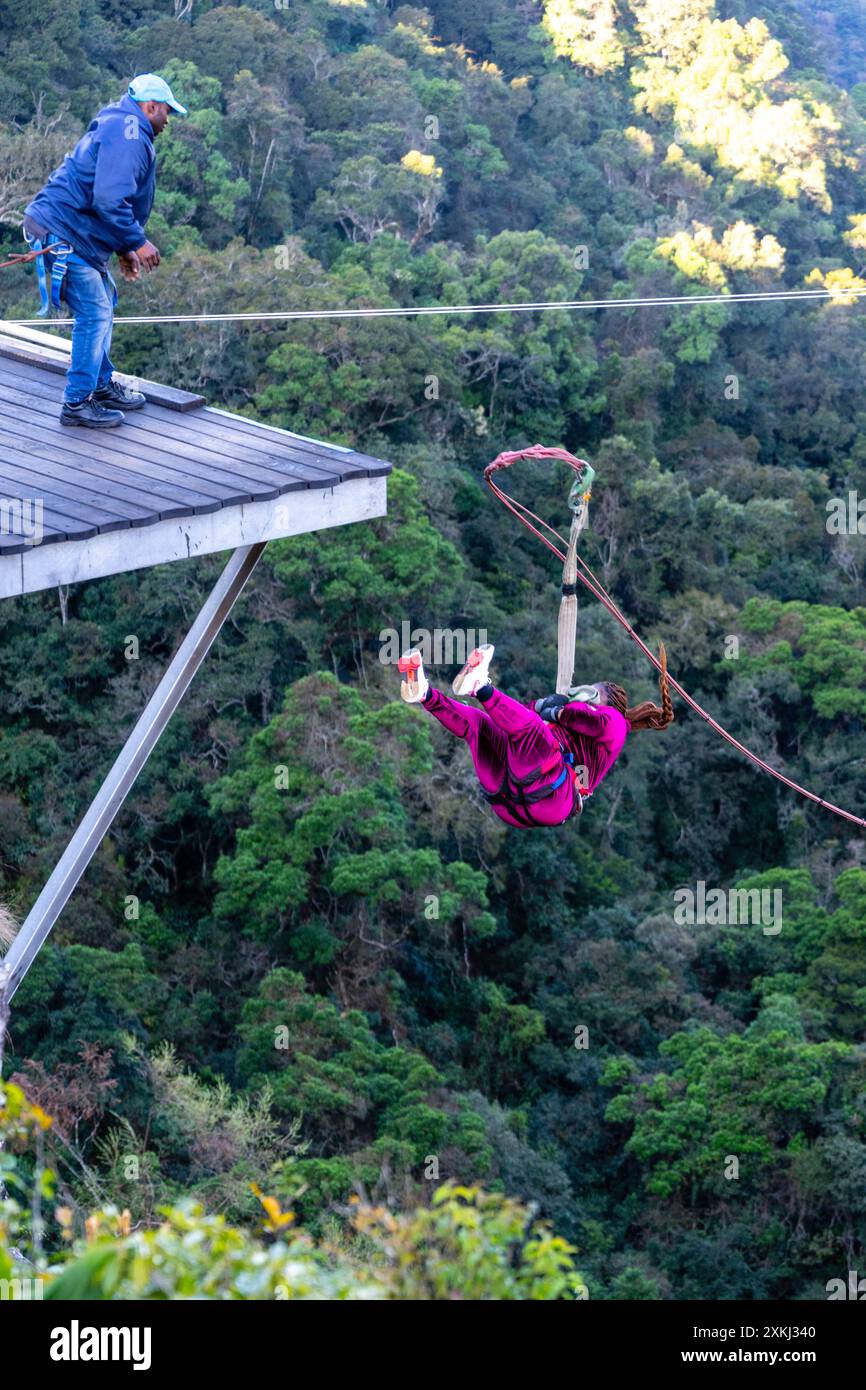 A woman falls into Graskop Gorge with a rope swing. Graskop Gorge along ...