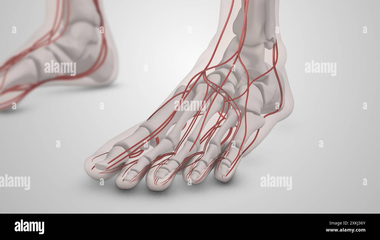 Skin damage asian people hi-res stock photography and images - Alamy