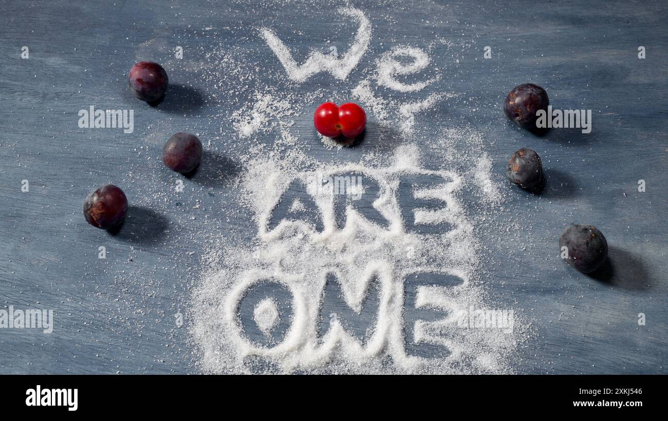 "We are one" written with sugar. Concept of unity. Homemade marmalade ...