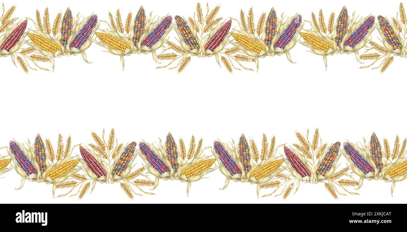 Corn seamless border clipart illustrates colorful watercolor corn cobs ...