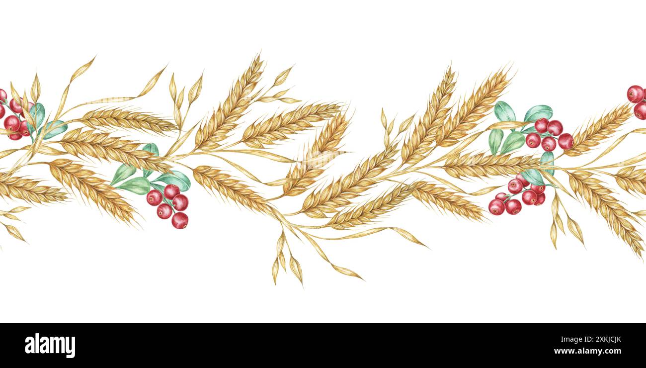 Scrapbooking Borders Clipart
