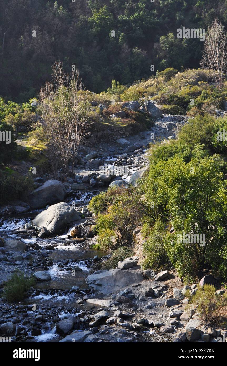 Little movement in water hi-res stock photography and images - Alamy