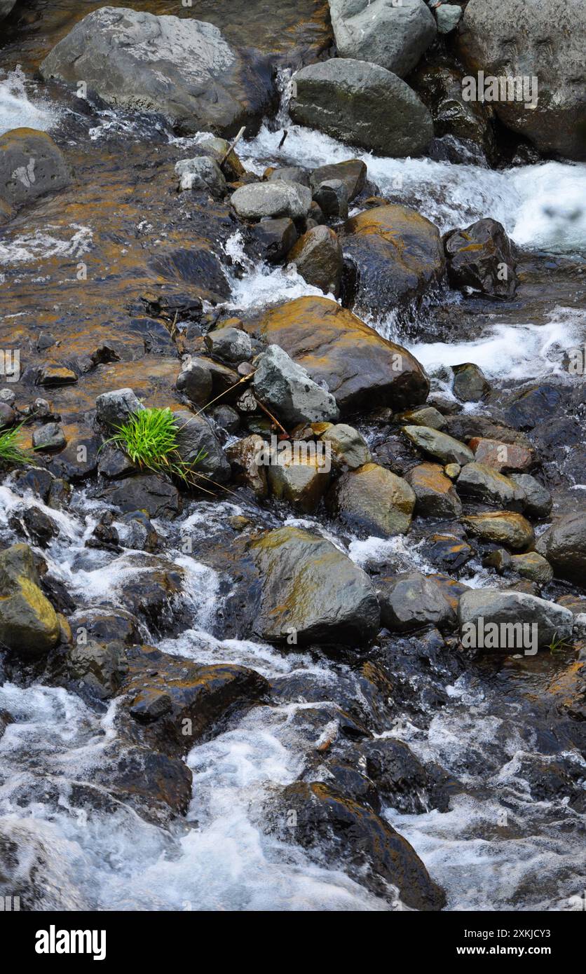 Current of river water that crosses its path with great speed between ...