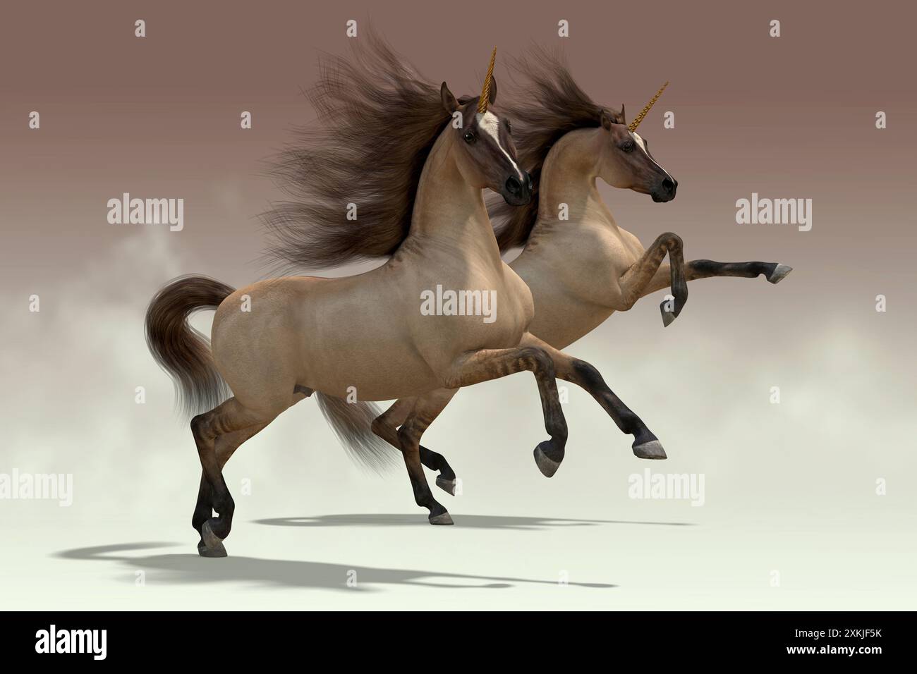 Grulla horses are known for their distinctive coat color and primitive ...