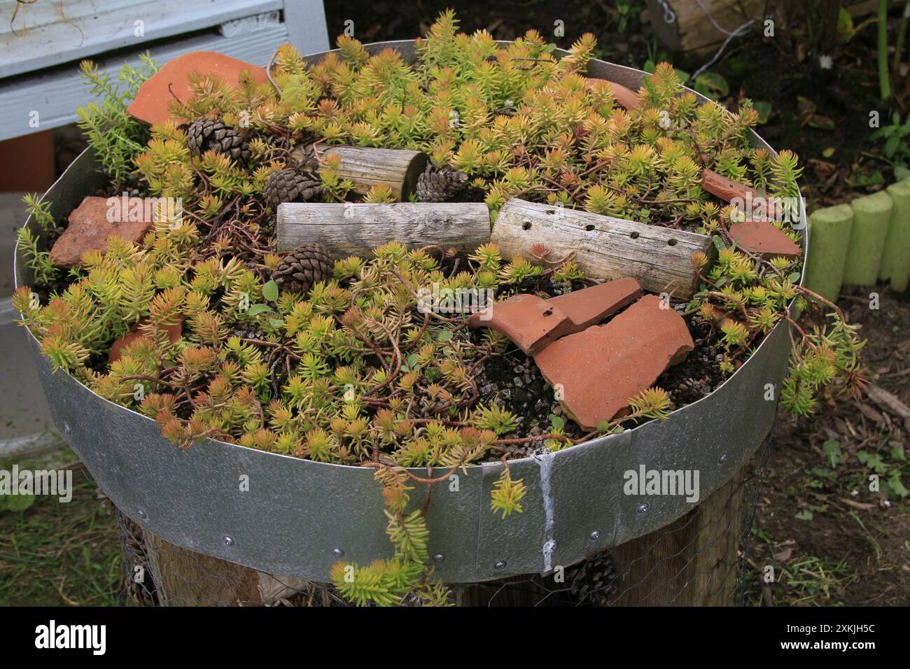 Large hand built Insect House containing pine cones, old wood, Sedum ...