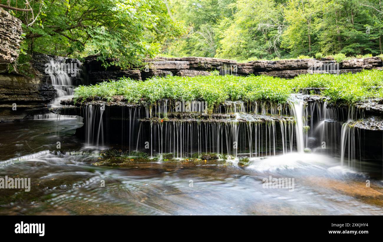 Old park near river in hi-res stock photography and images - Alamy