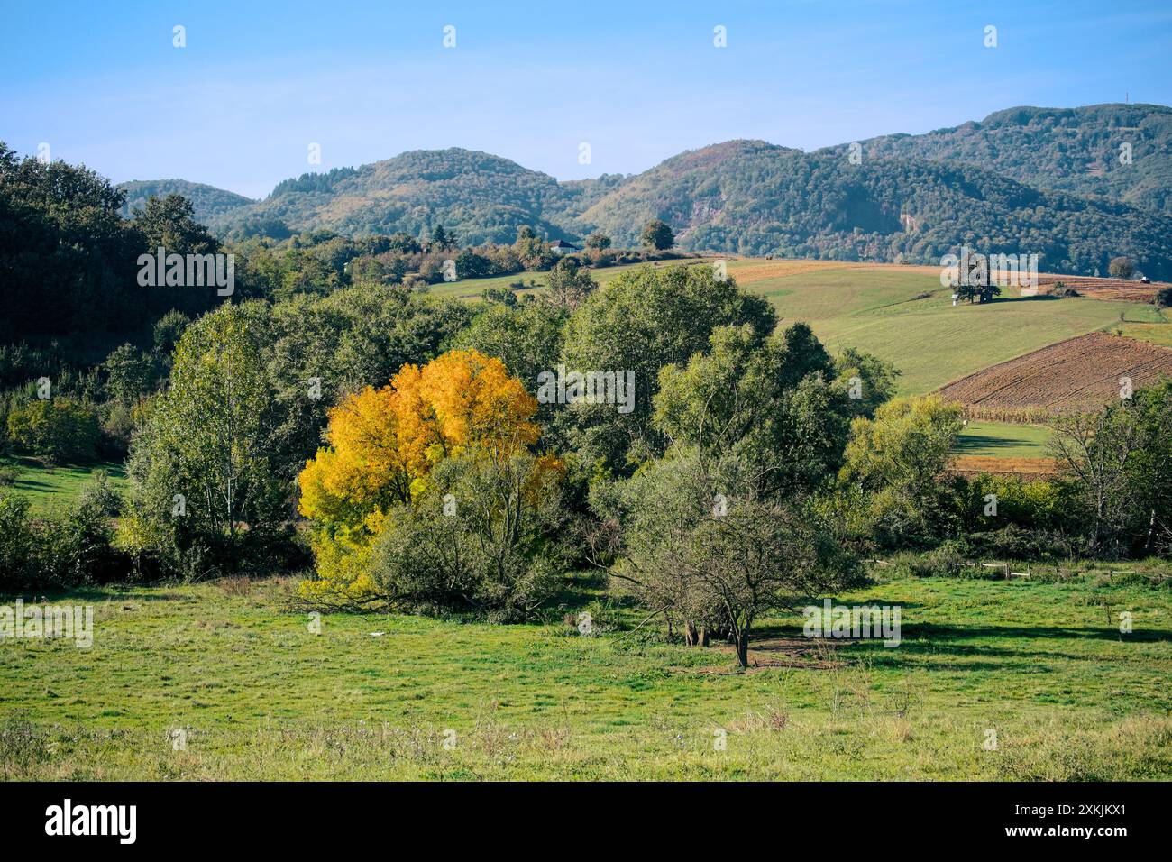 Sumadija serbia hi-res stock photography and images - Alamy