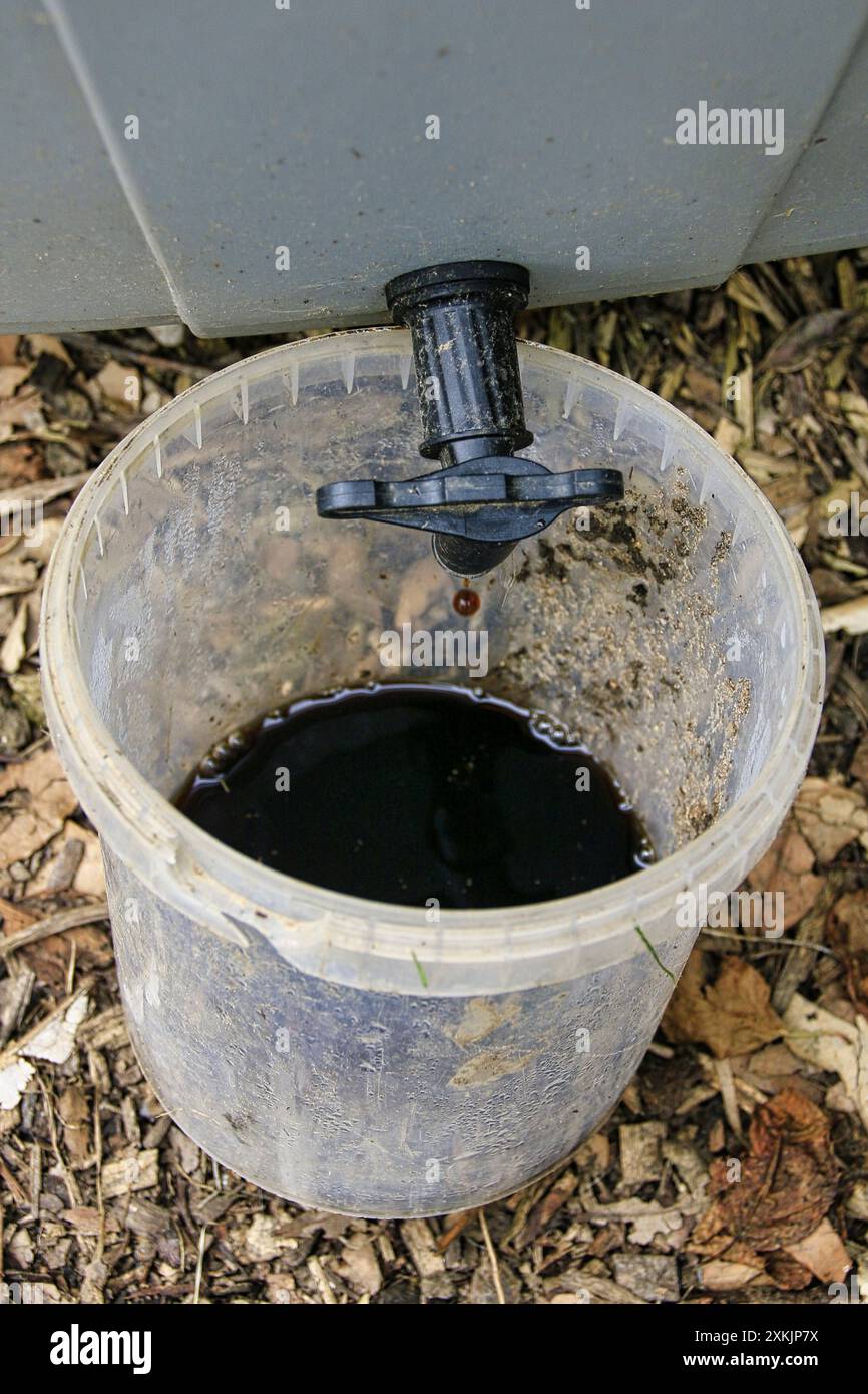 Plastic bucket collecting 'Worm Tea' from outdoor Wormery Stock Photo ...