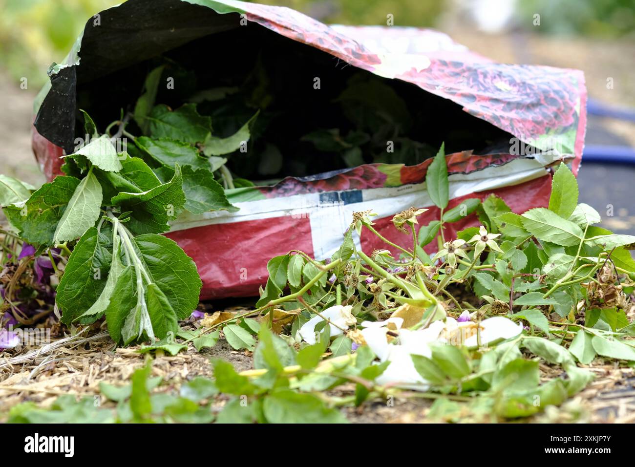 Empty compost bag hi-res stock photography and images - Alamy