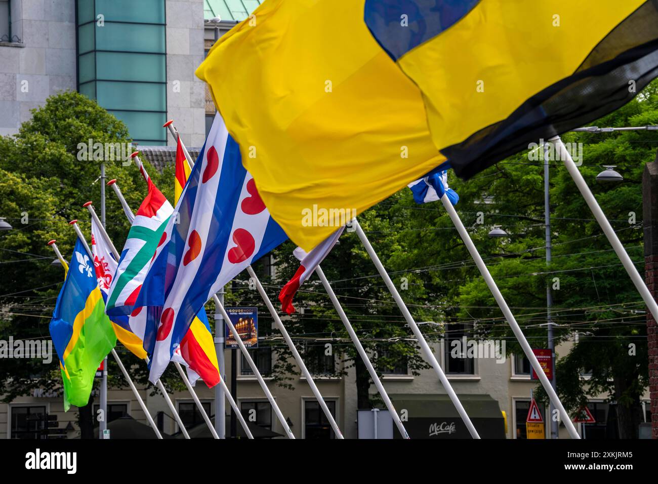 Flags, flags of the 12 different provinces of the Netherlands, at the ...
