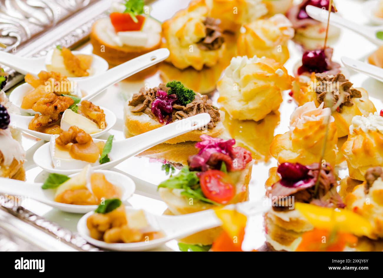 An elegant display of Appetizers arranged on a silver tray, featuring various bite-sized ...