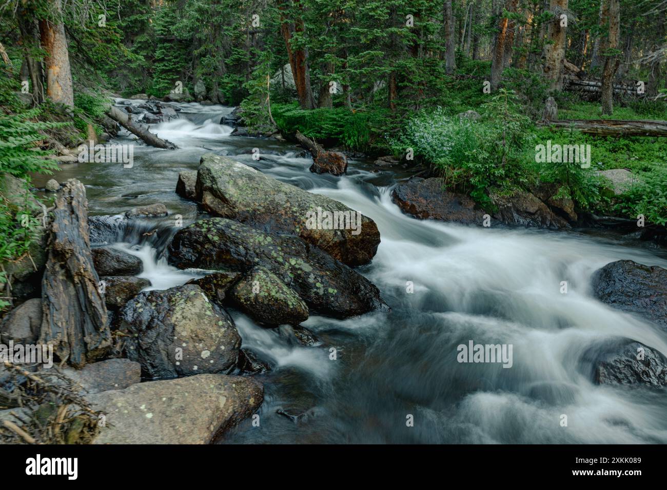 Rivers in the Rocky Mountains of Colorado Stock Photo - Alamy