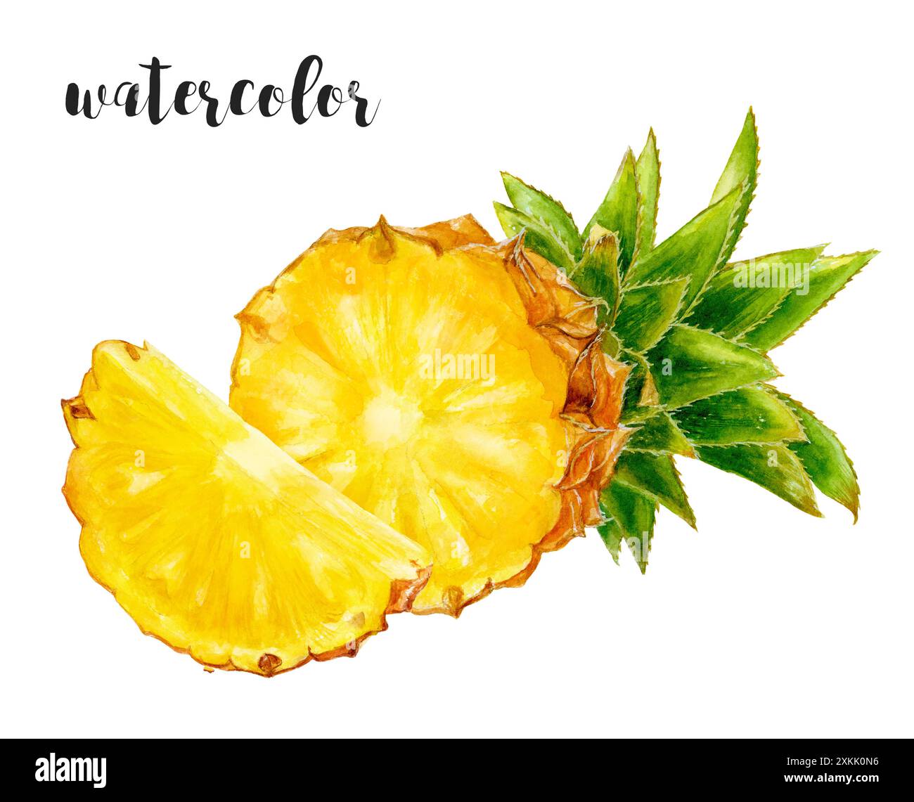 Watercolor Pineapple Illustration featuring Sliced Pineapple on White ...