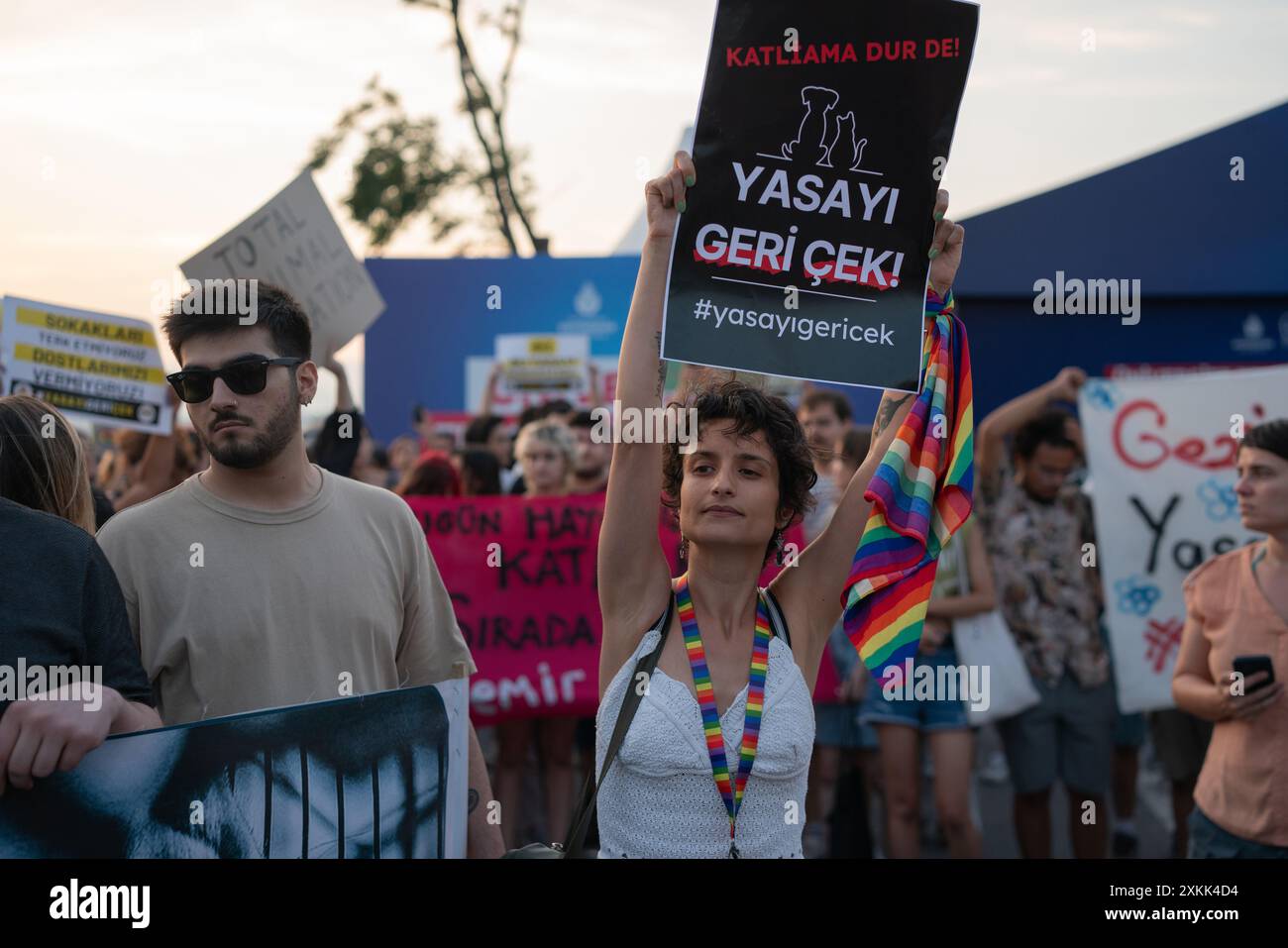 Istanbul, Turkey. 23th Jul, 2024. Animal right activists organized a ...