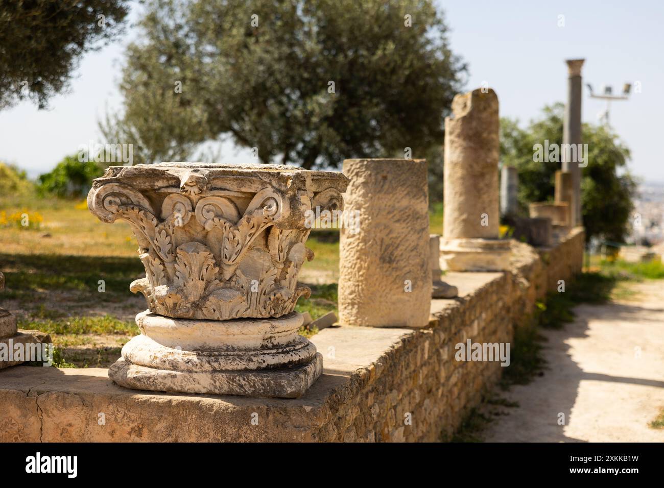 Upper carved part of column is capitello , standing among remains of ...