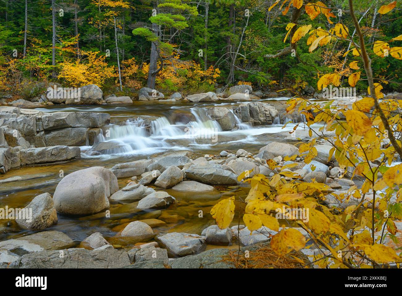 Along Kancamagus Highway,National Scenic Byway, White Mountains,Coos ...