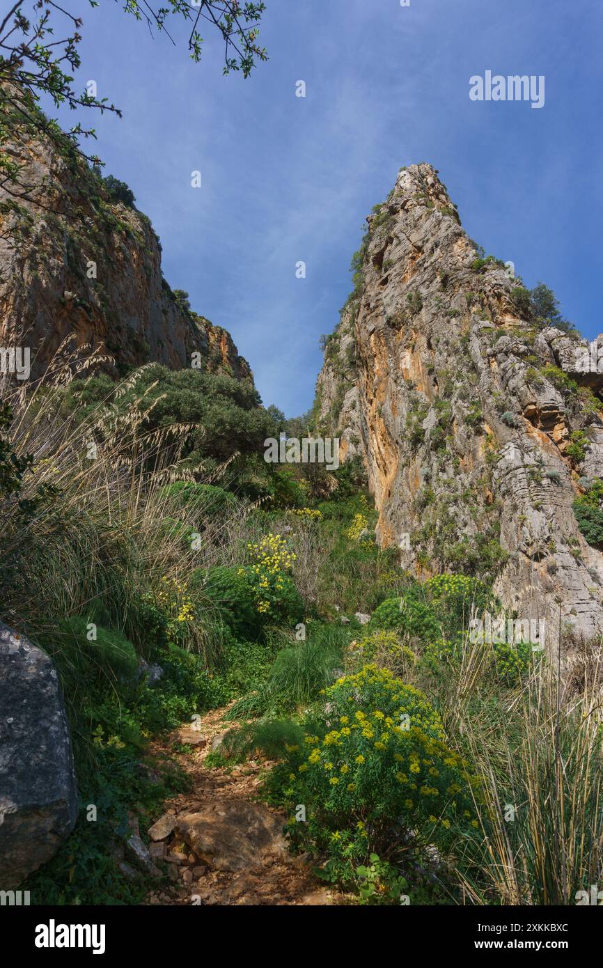 View at rocky landscape with green vegetation in Nature Park of Monte ...