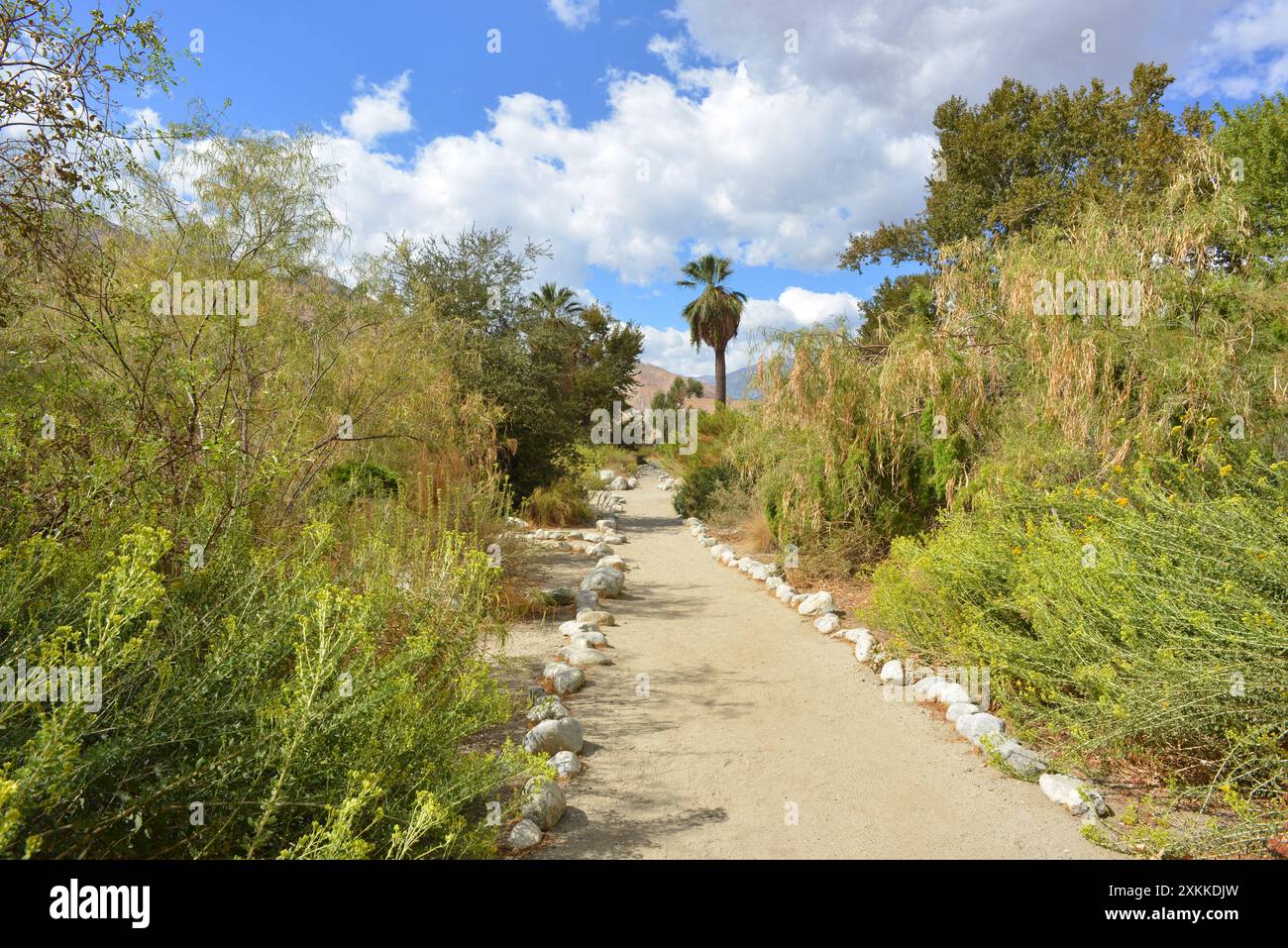 Whitewater canyon california hi-res stock photography and images - Alamy