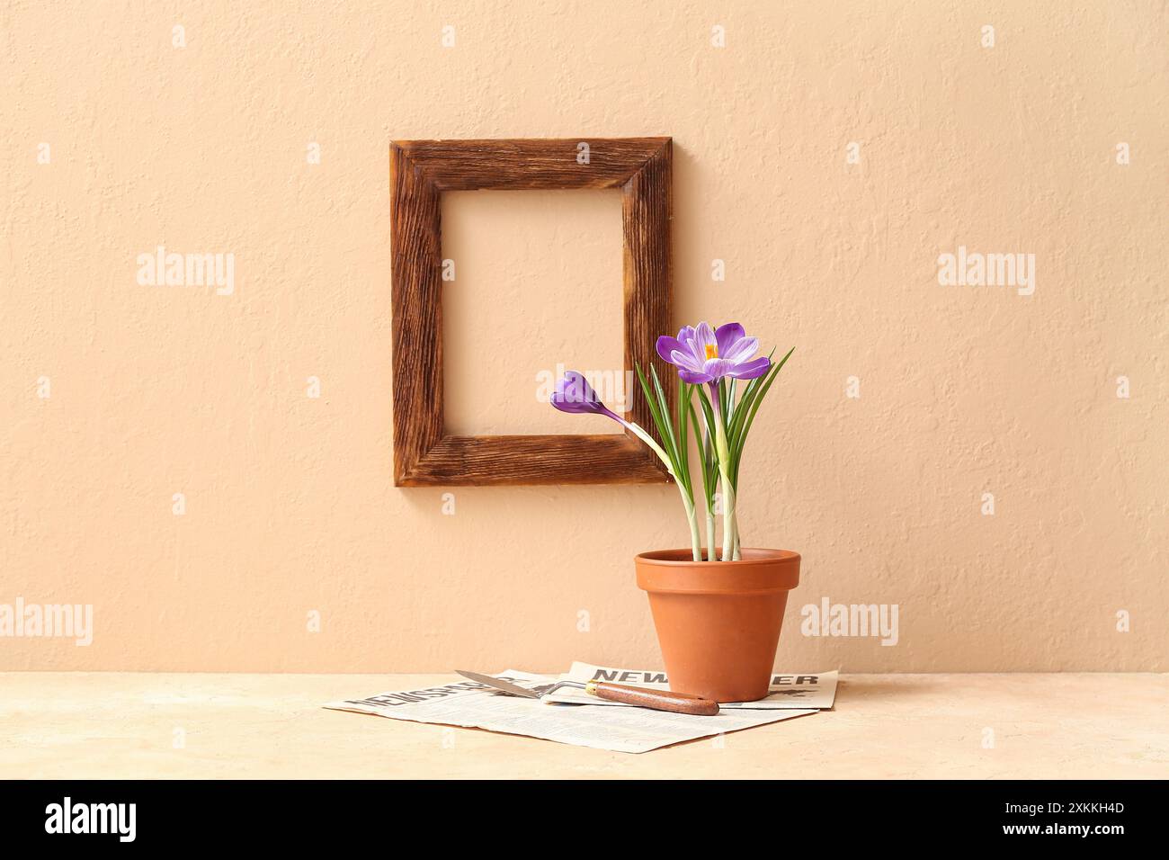 Potted crocus care hi-res stock photography and images - Alamy