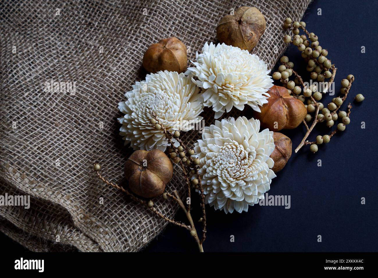Decorative dried flowers, seed pods, and branches on dark background ...