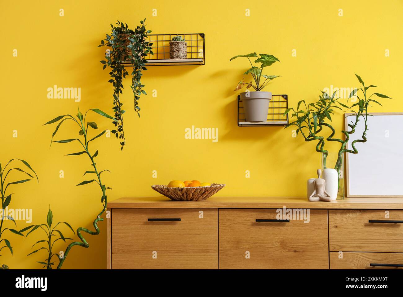 Interior of living room with commode, shelves and plants Stock Photo ...