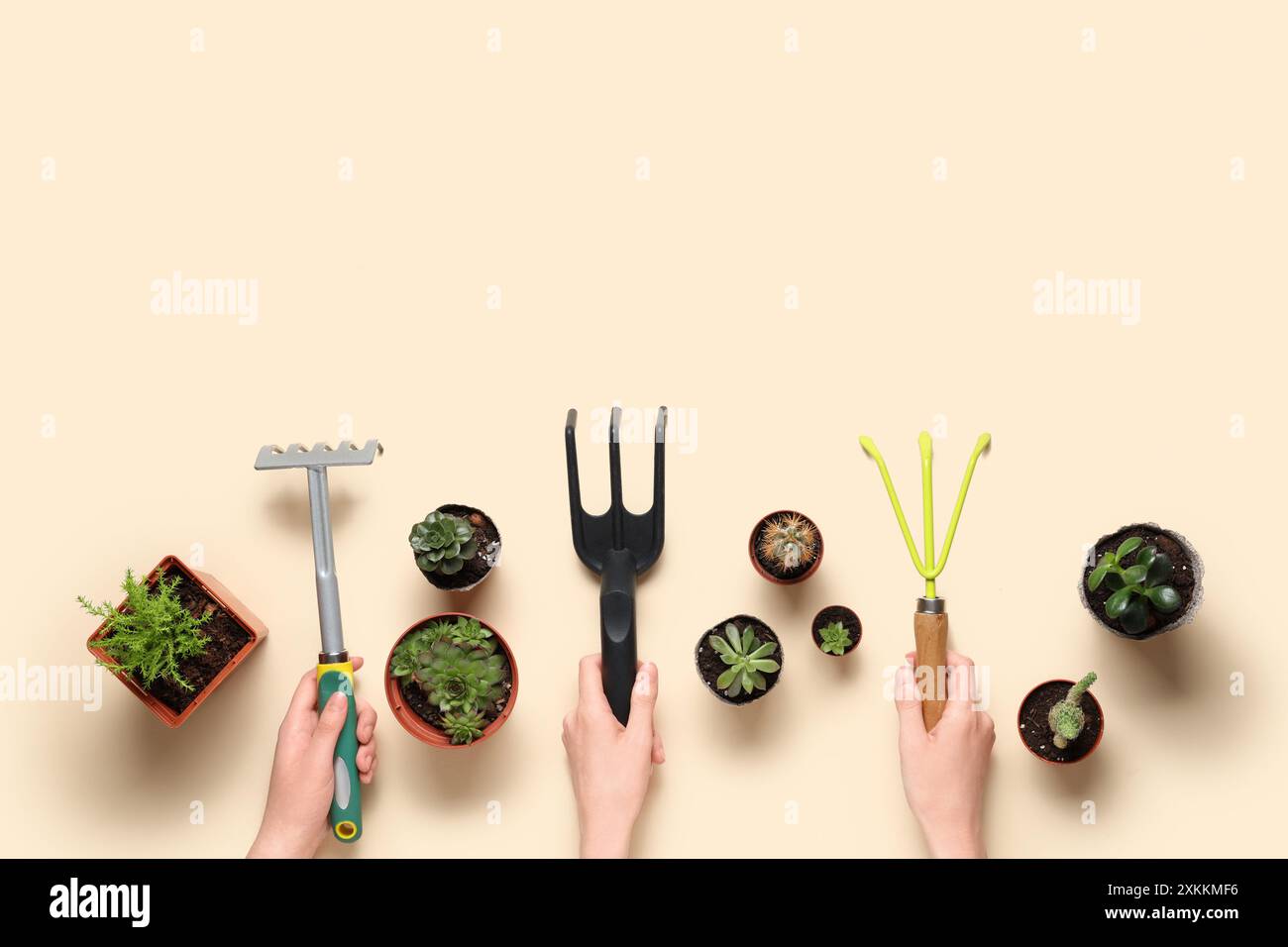 Female hands rakes plants hi-res stock photography and images - Alamy