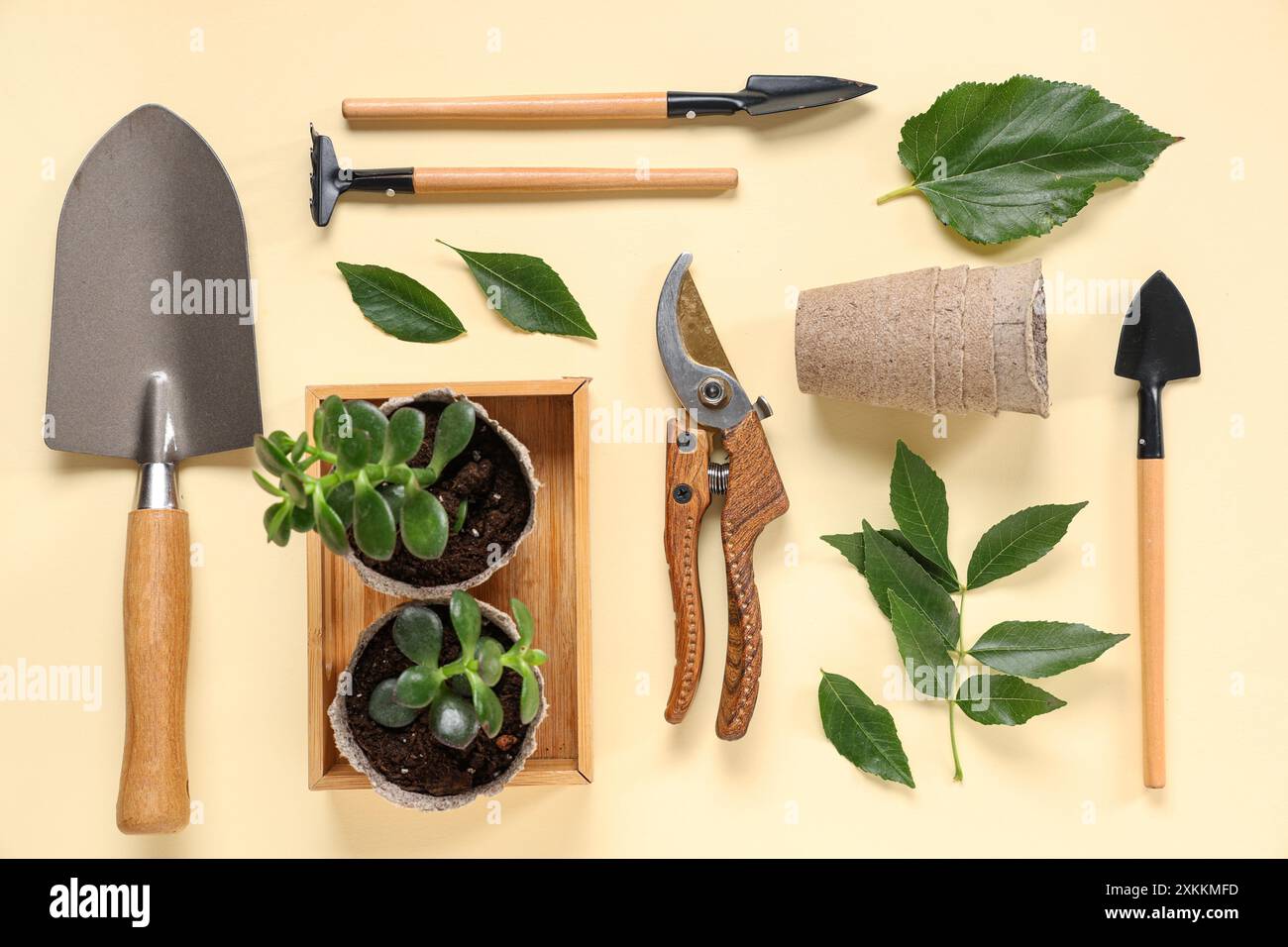 Gardening tools with shovel, pruner and peat pot on beige background ...