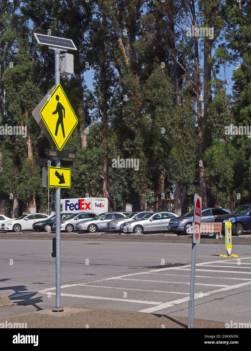 pedestrian crosswalk in California Stock Photo - Alamy