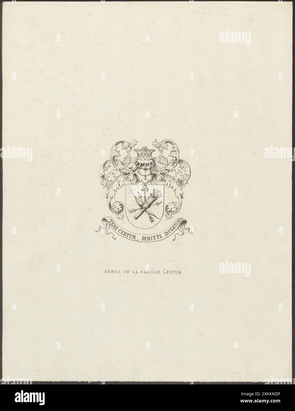 Heraldry family tree hi-res stock photography and images - Alamy