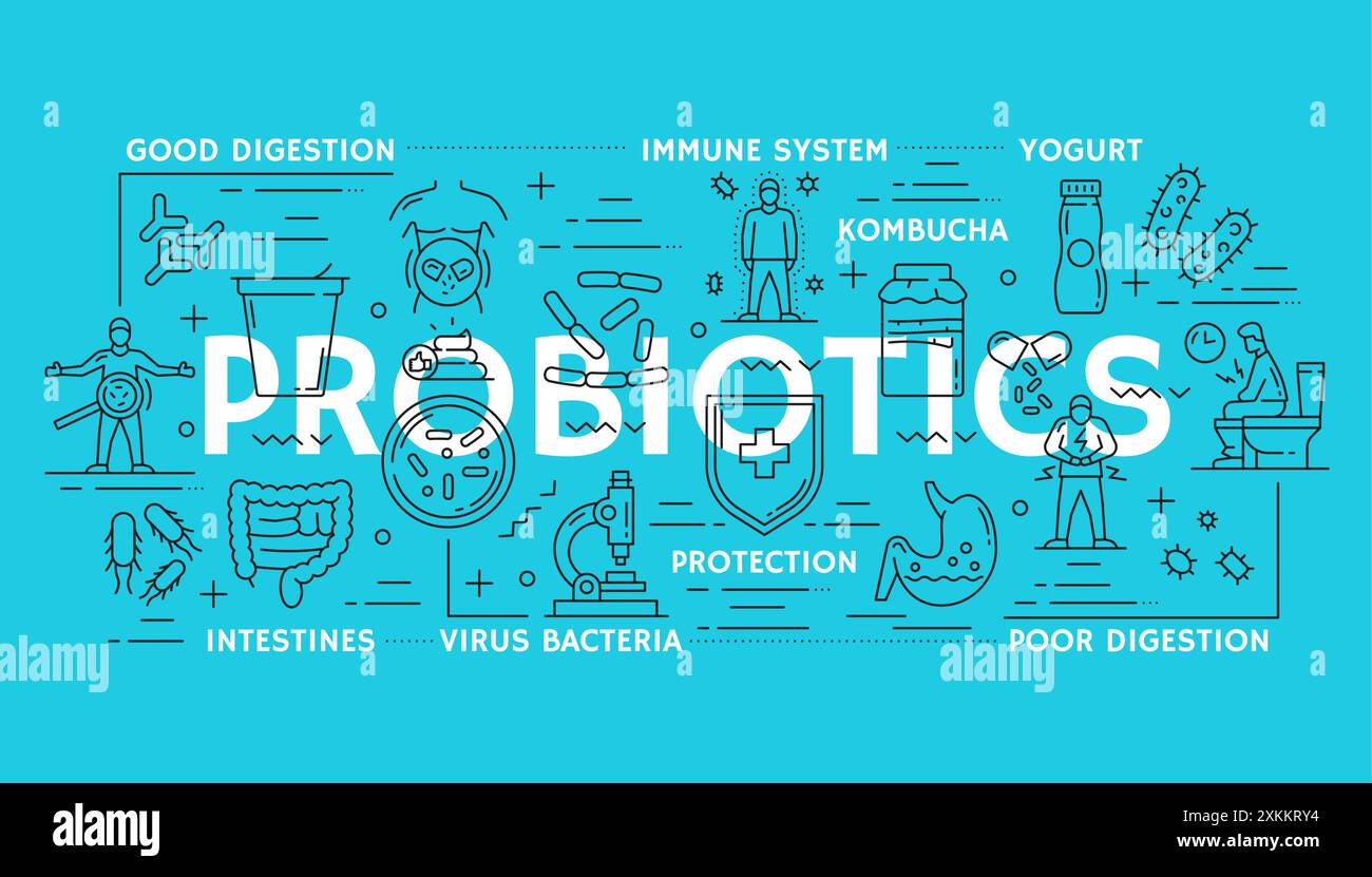 Probiotics and healthy intestine banner for stomach digestion health ...