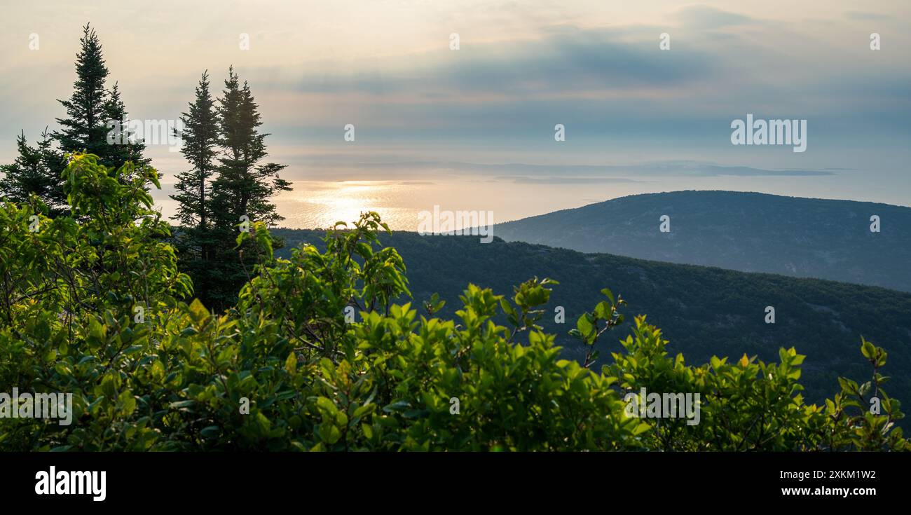 Scenic Overlook with Forest from Cadillac Mountain Stock Photo - Alamy
