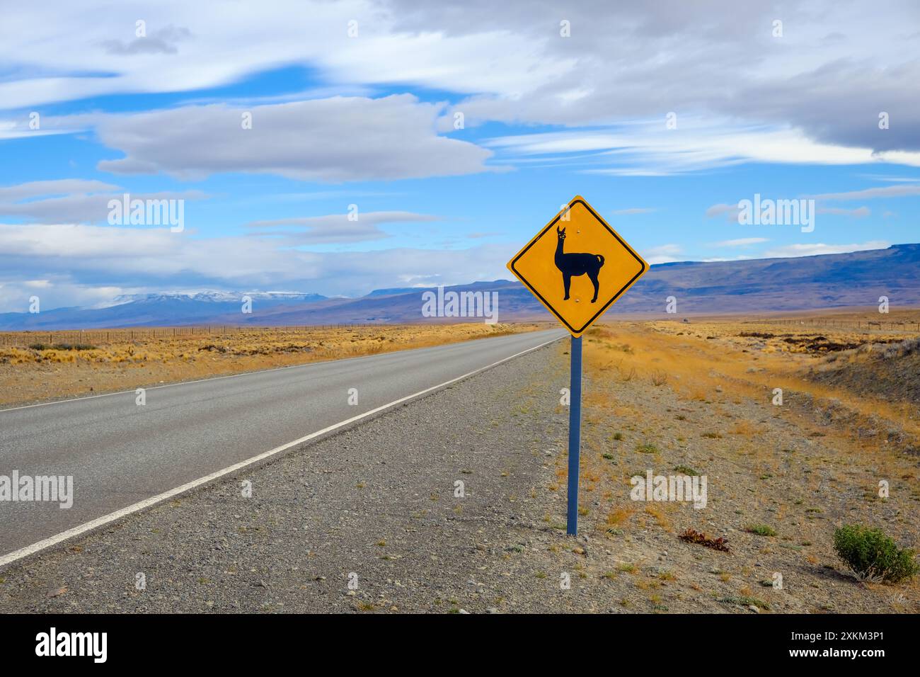 Guanaco sign hi-res stock photography and images - Alamy