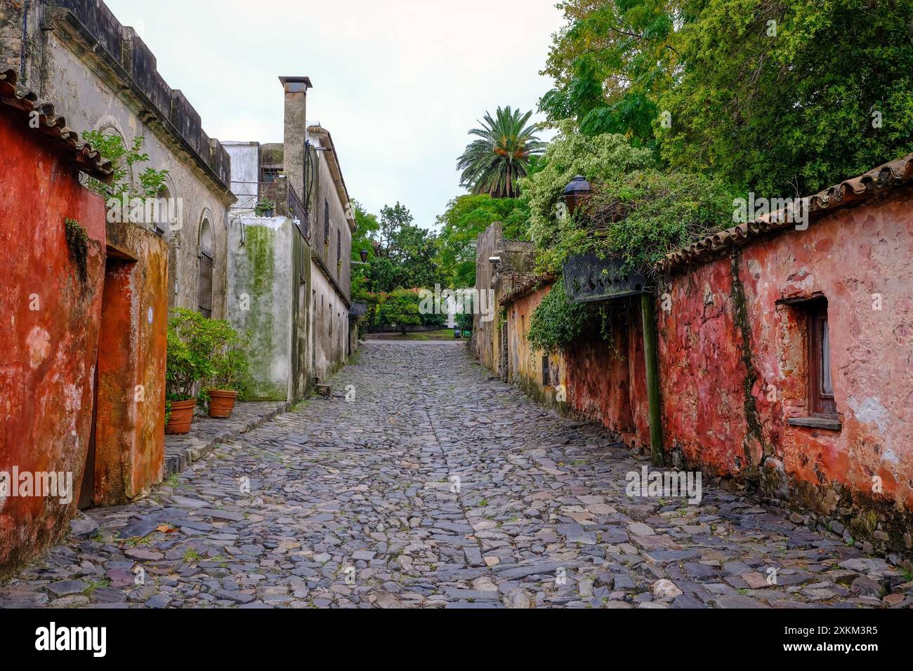 14.03.2024, Uruguay, Colonia, Colonia del Sacramento - The calle de los ...