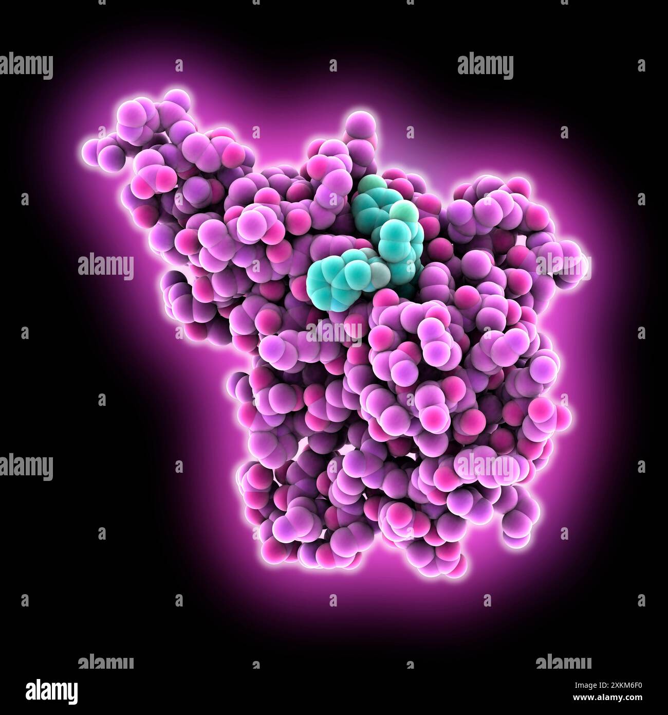 Molecular model of a full length TcMIP (Trypanosoma cruzi macrophage ...
