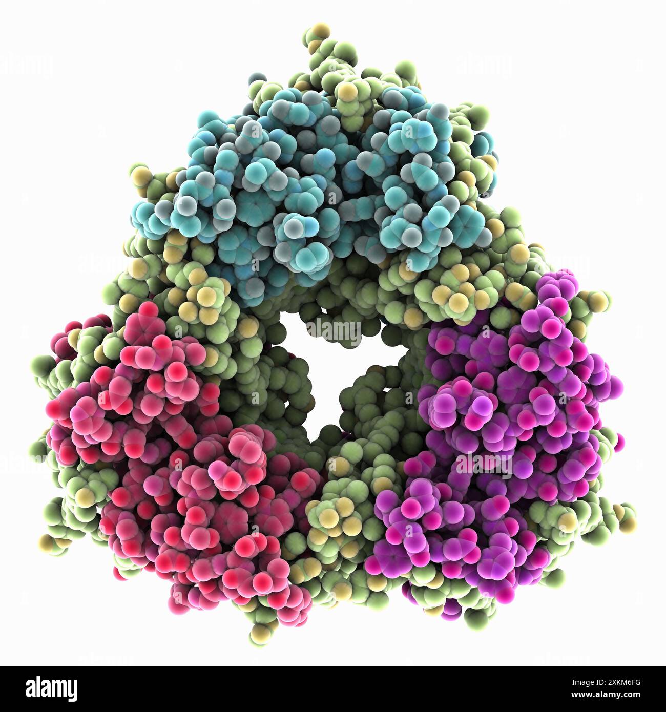 Molecular model of a light-harvesting three-coloured FCP trimer from ...