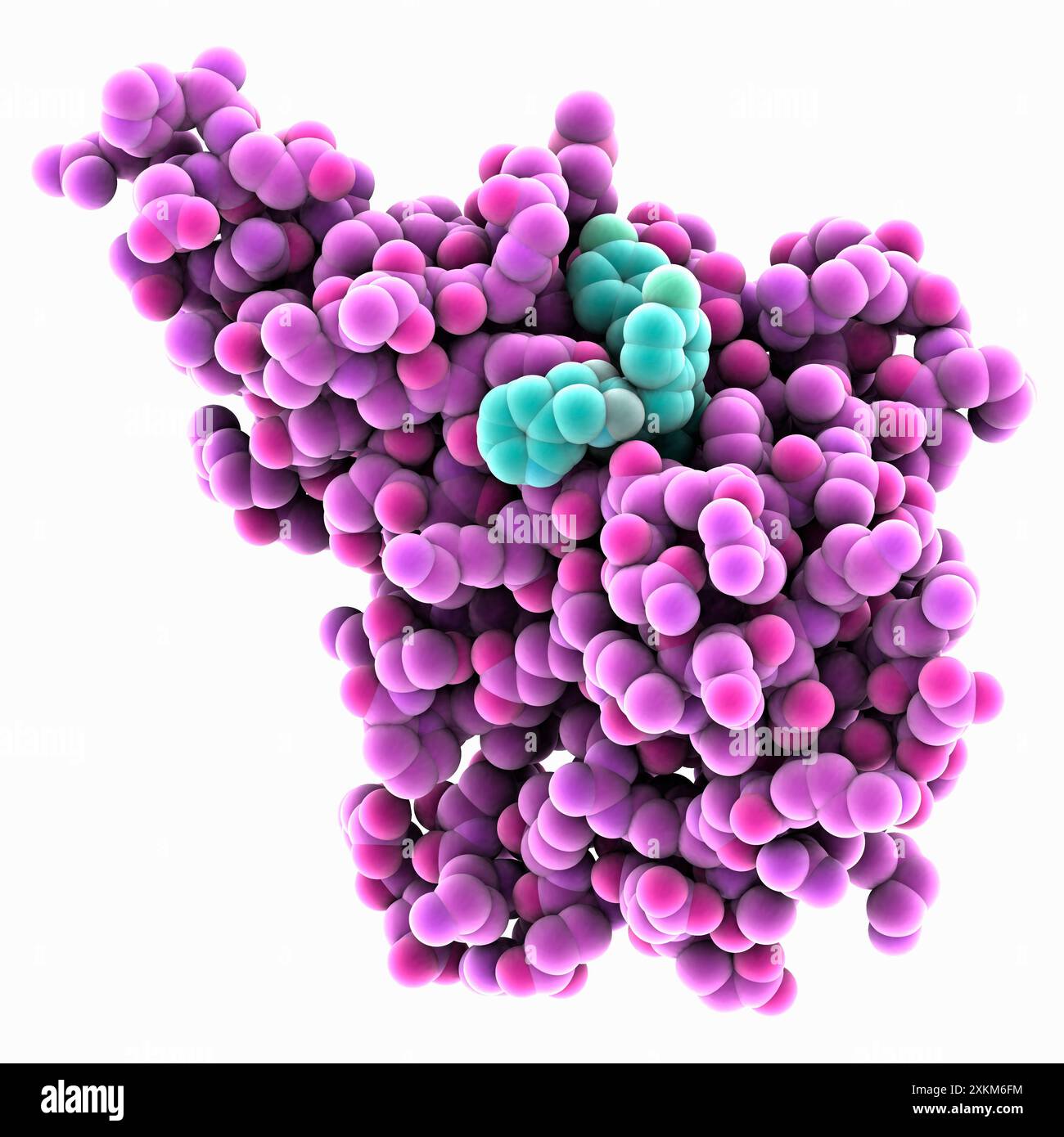 Molecular model of a full length TcMIP (Trypanosoma cruzi macrophage ...