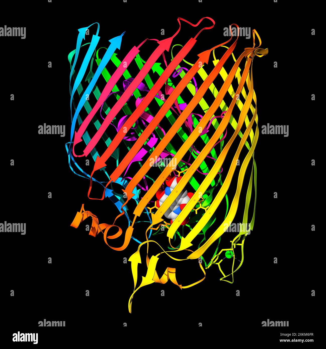Molecular model of PqqU from Escherichia coli complexed with PQQ. PqqU ...